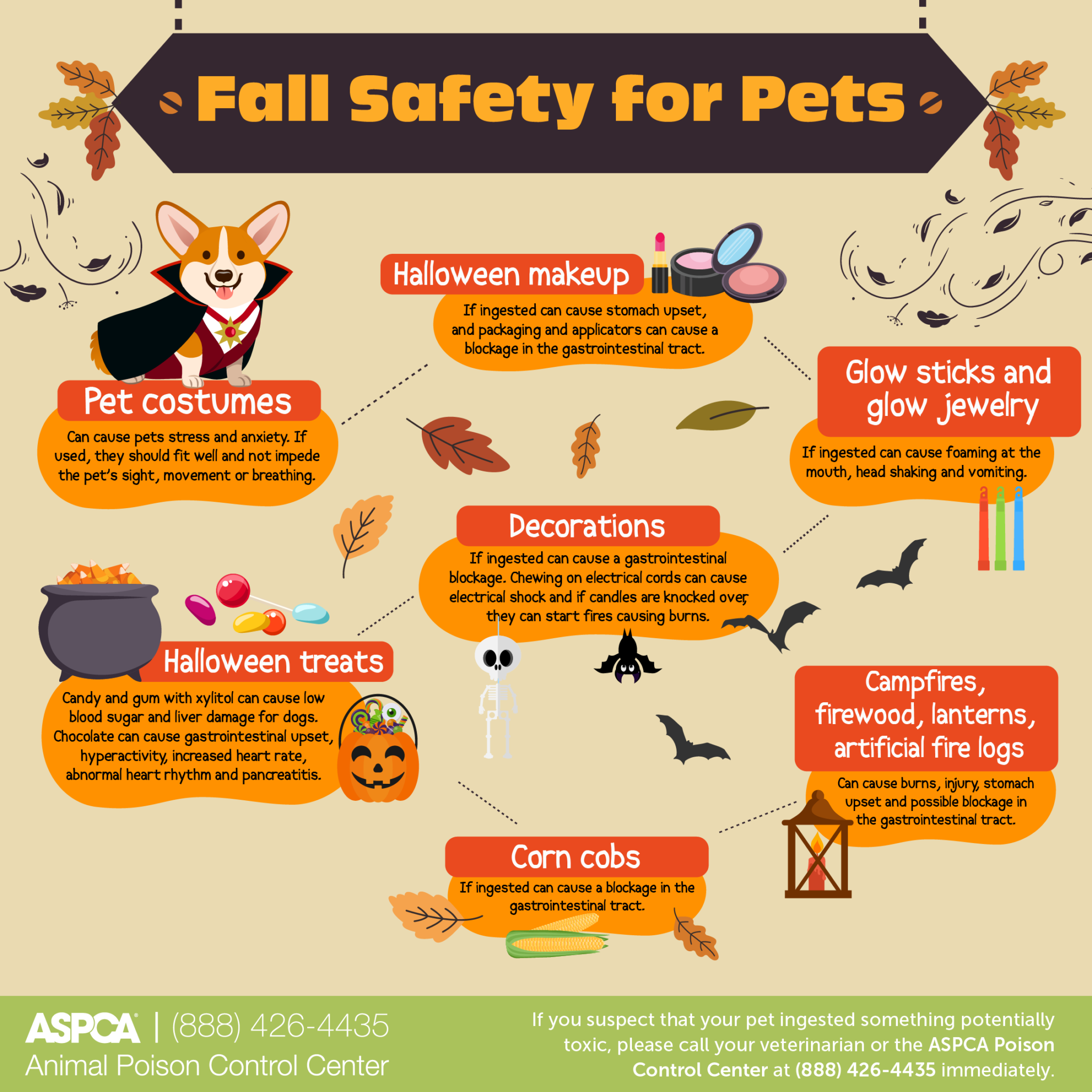 Top 7 Fall Dog Care Tips - The Modern Pet USA